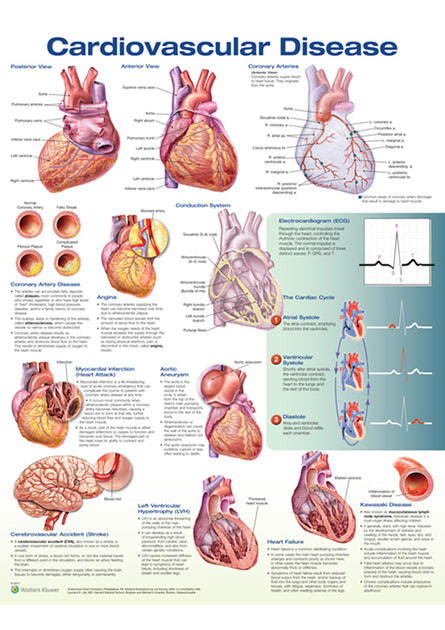 Cardiovascular Disease – Mi-tec Medical Publishing