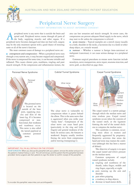 Peripheral Nerve – Mi-tec Medical Publishing