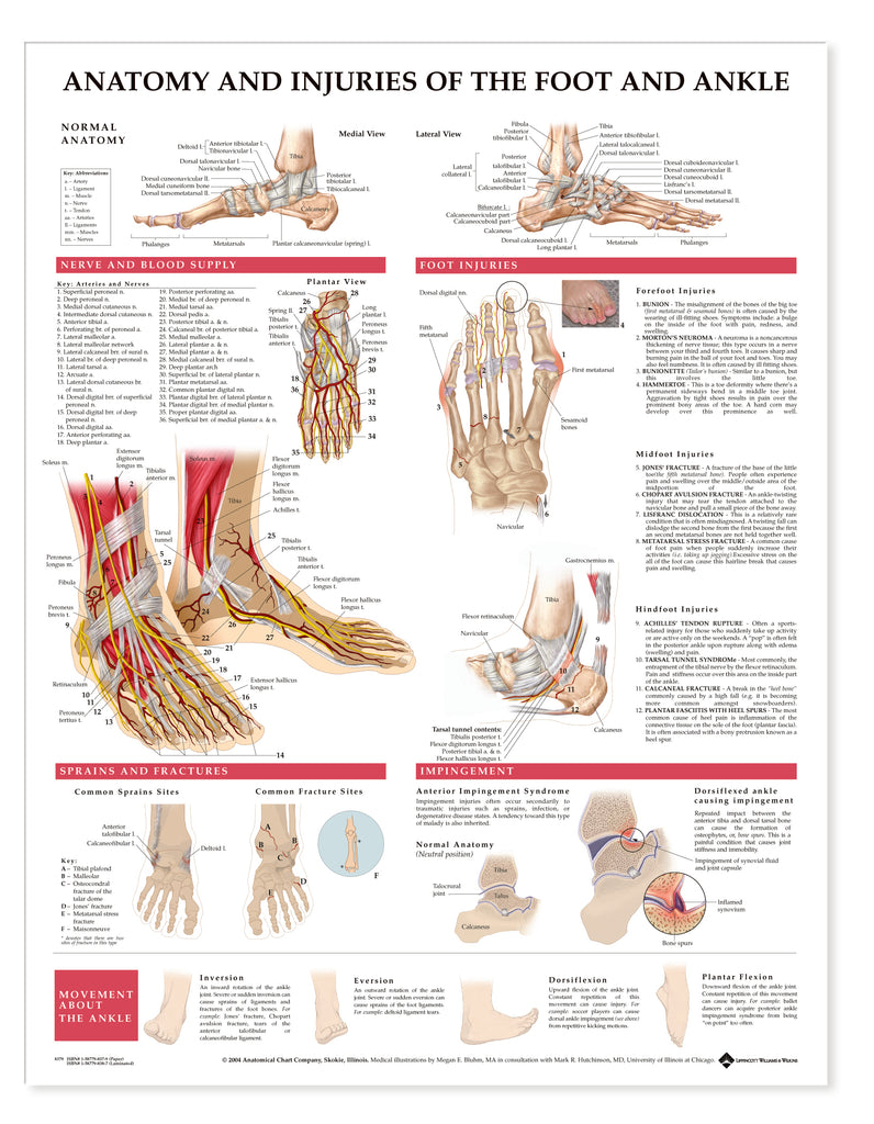 Foot Pain Chart